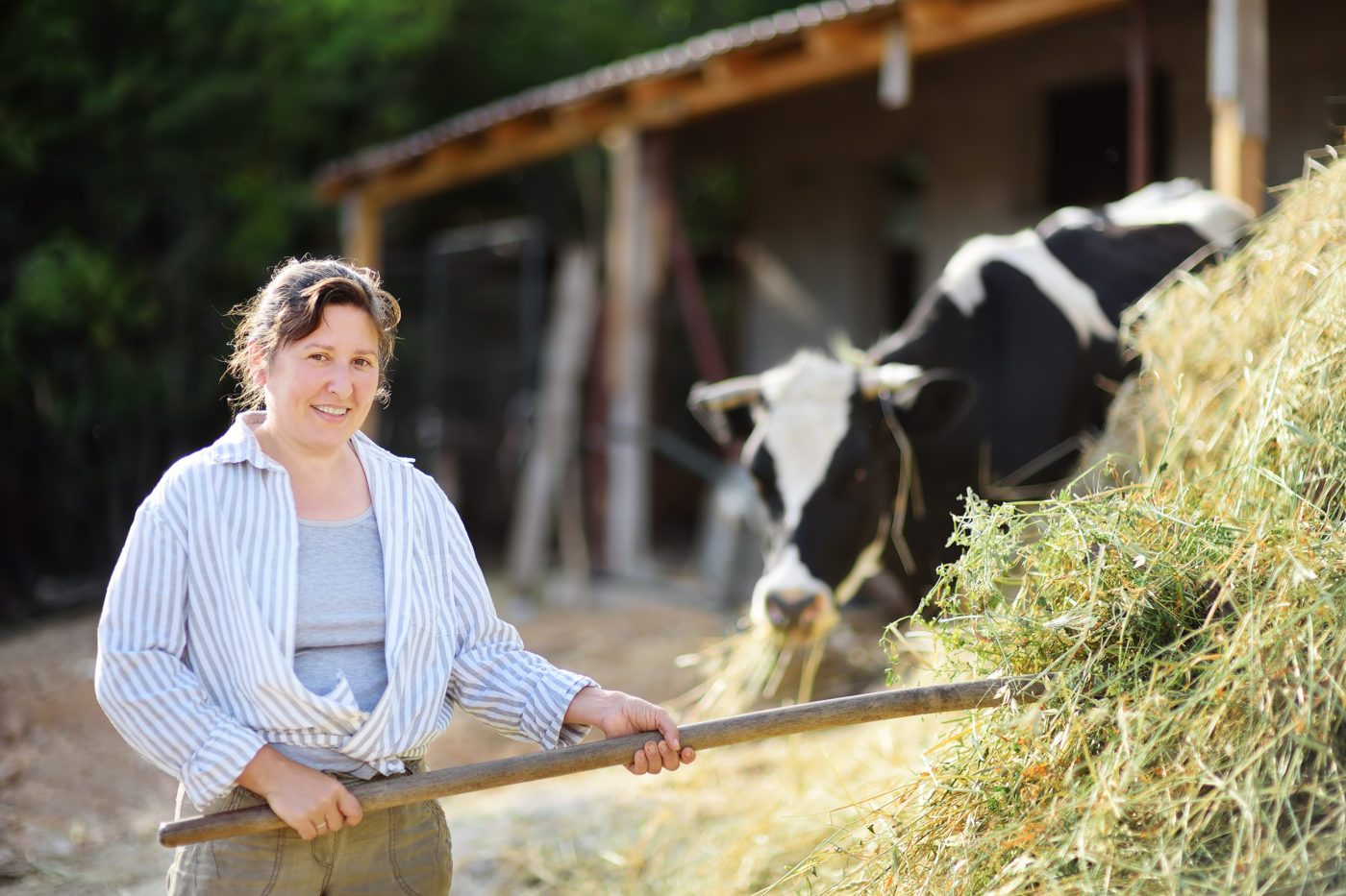 MSA : Protection sociale agricole et salariés
